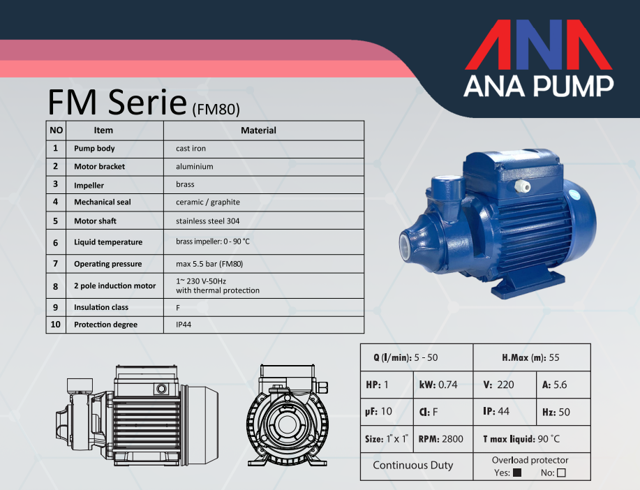 پمپ نیوژن 1 اسب محیطی FM 80 - goalelectric